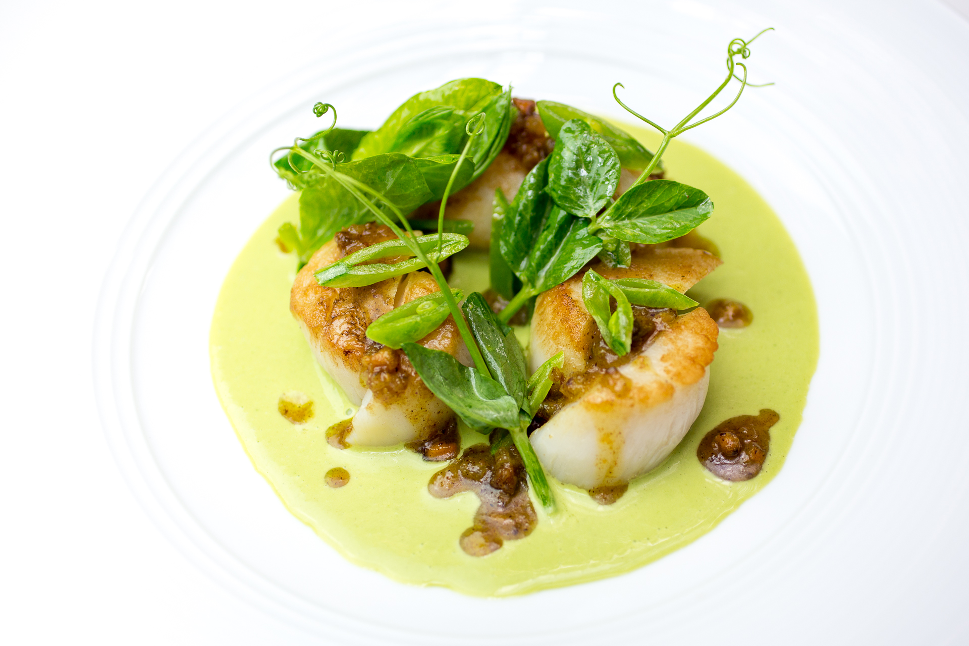 Lionfish Menu: Discover Our Fresh, Seasonal Offerings