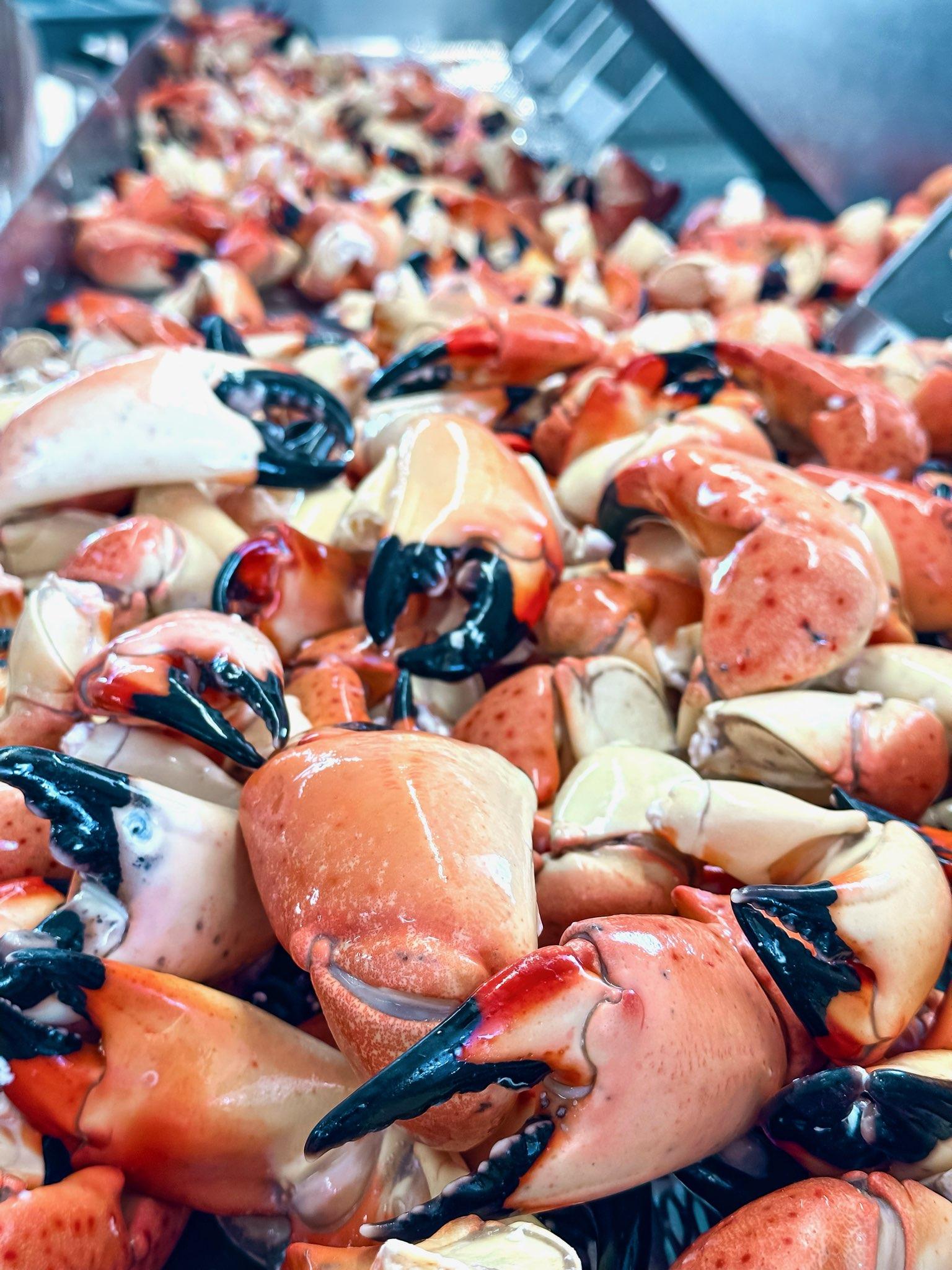 LARGE Stone Crabs 1lb. | Pelican Point Seafood | Retail and Wholesale ...