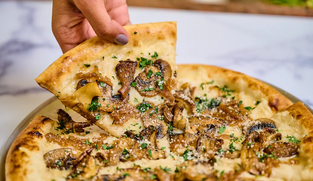 About | Wild Pie in USA