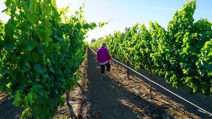 Acquiesce Dinner at Vintner’s Table | Americana House