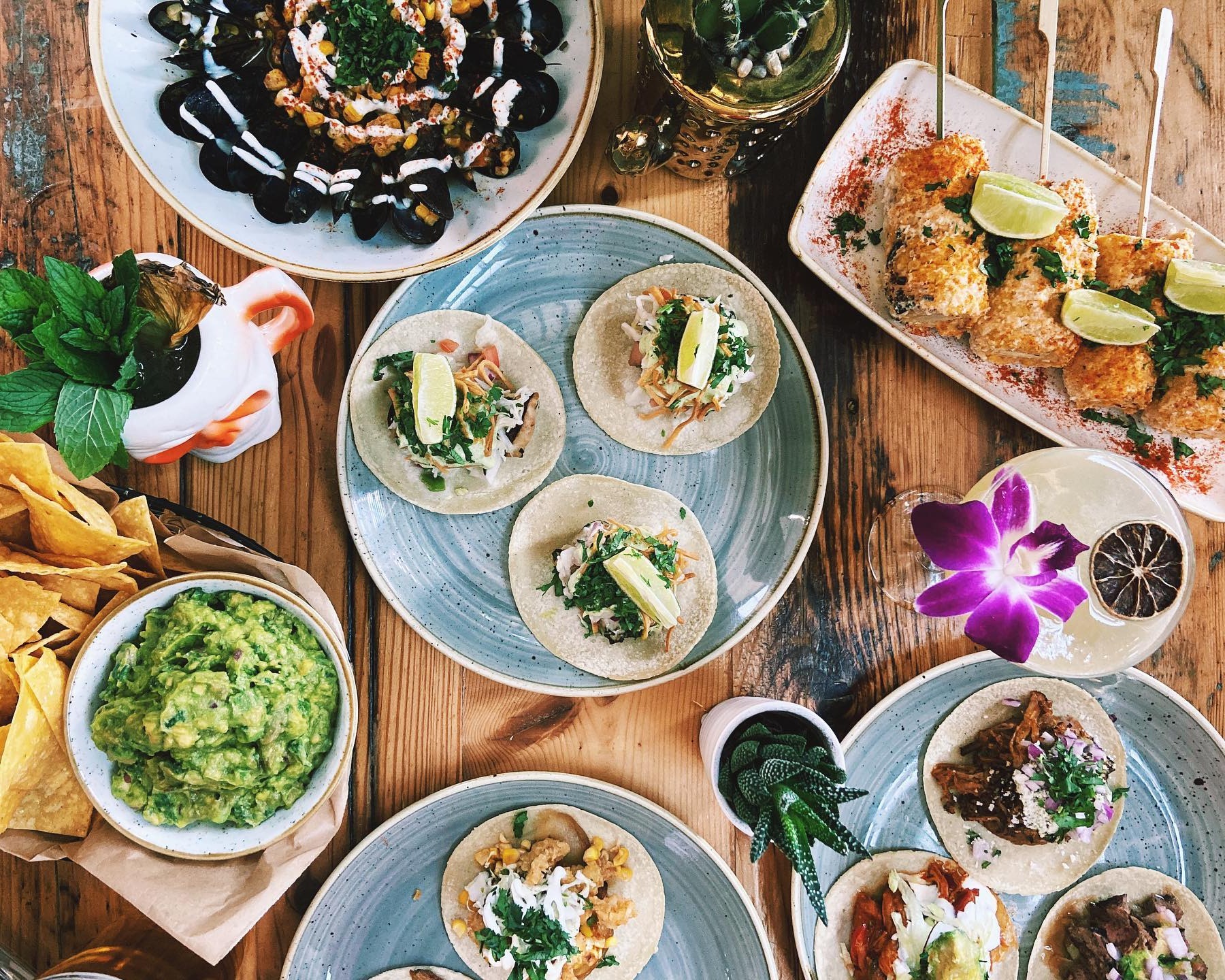 South End, Boston | Yellow Door Taqueria in Boston, MA