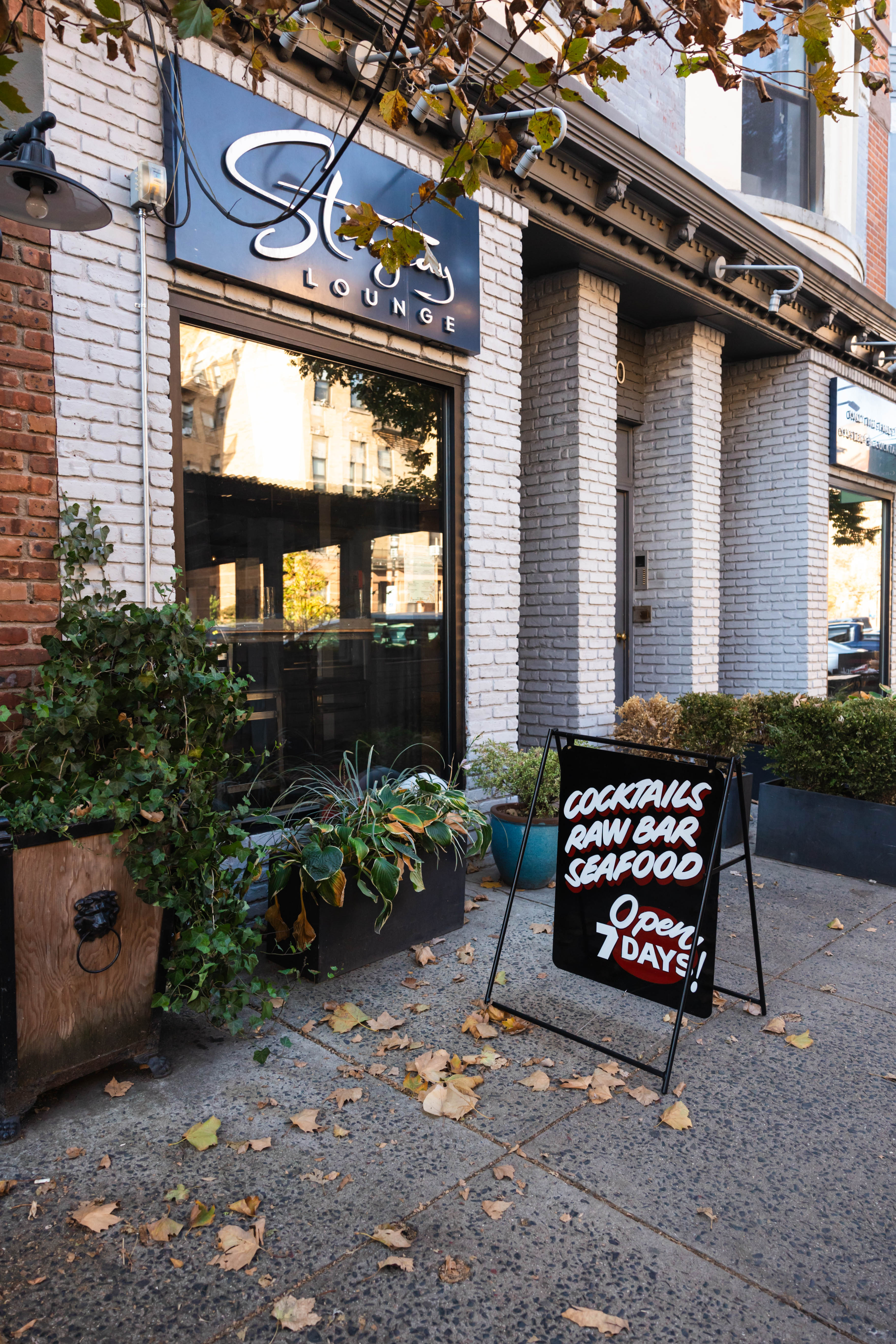 Stingray Lounge | Stingray Lounge | Cocktail Bar in Uptown Hoboken, NJ