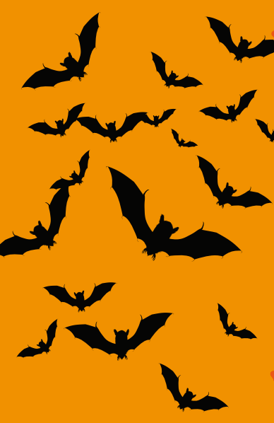 Halloween Pop-Up Bar 🎃👻 | Pearlz Oyster Bar