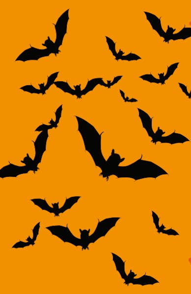 Halloween Pop-Up Bar 🎃👻 | Pearlz Oyster Bar