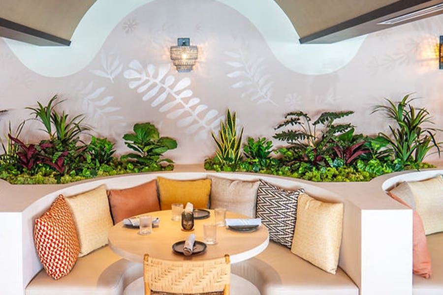 DC & Bethesda Event and Private Dining Spaces | PLANTA Restaurants