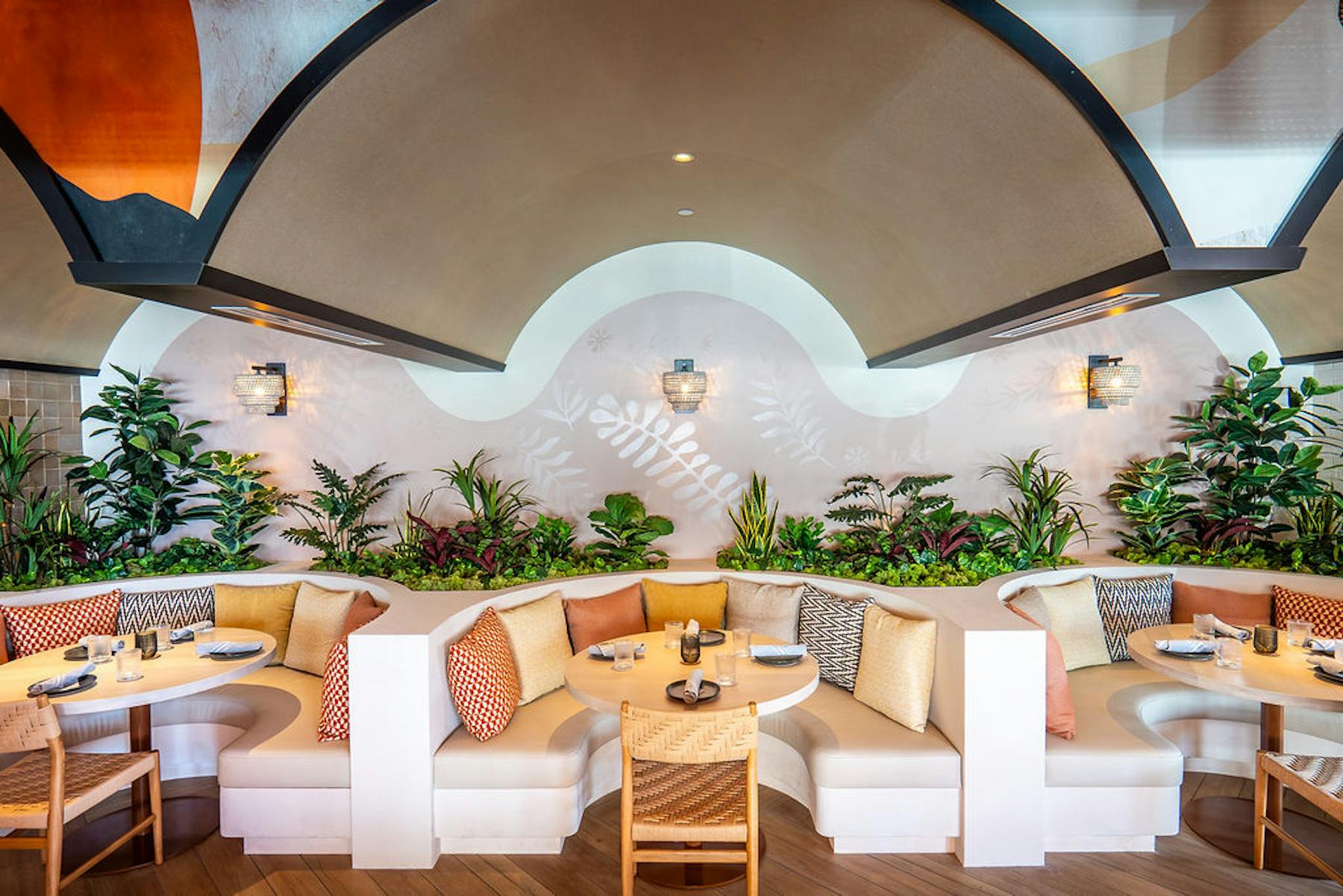 PLANTA | Cocina DC | PLANTA | Plant-Based Restaurant with 10 Location ...