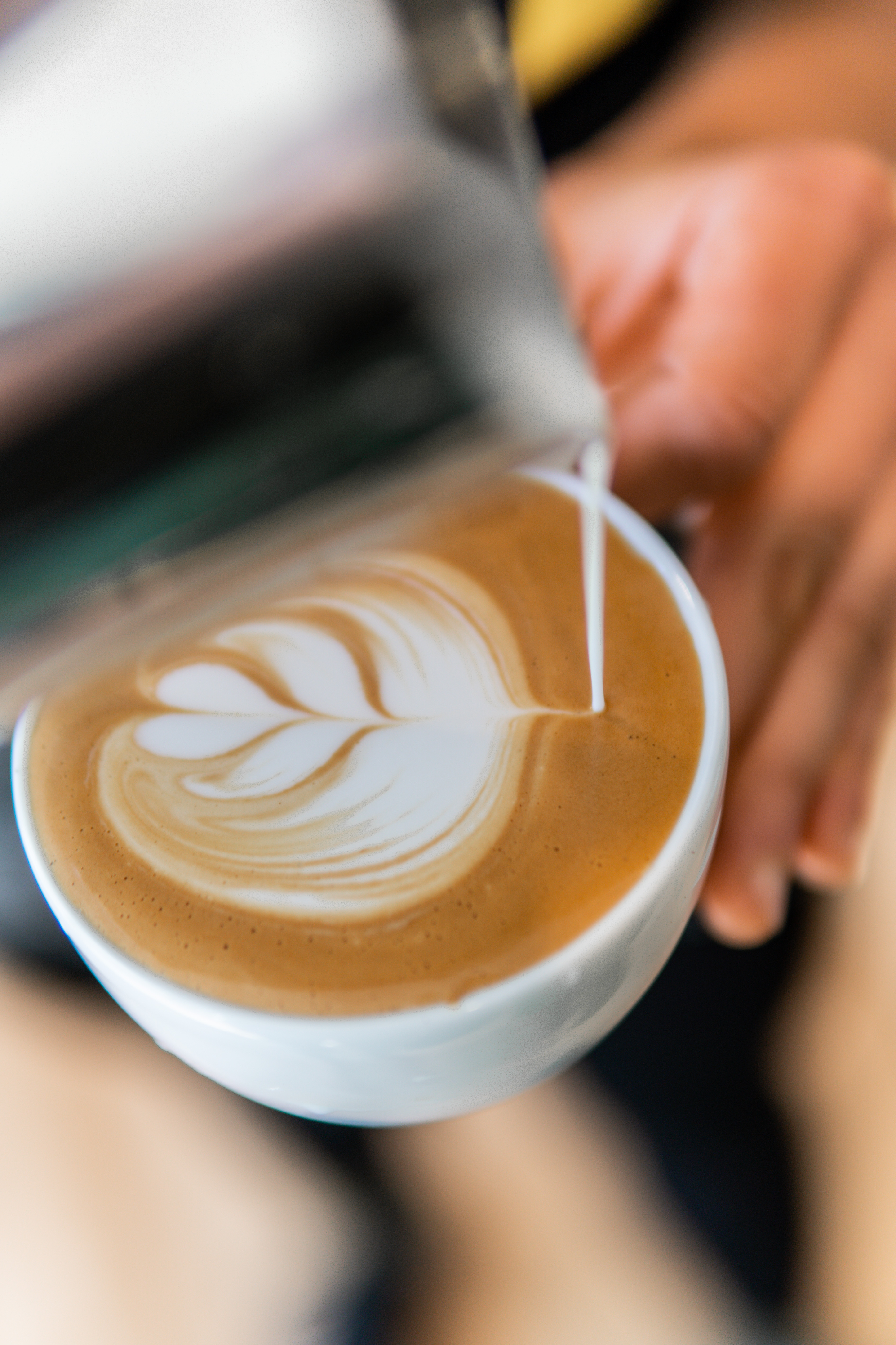 Café Avanti | Avanti Food & Beverage