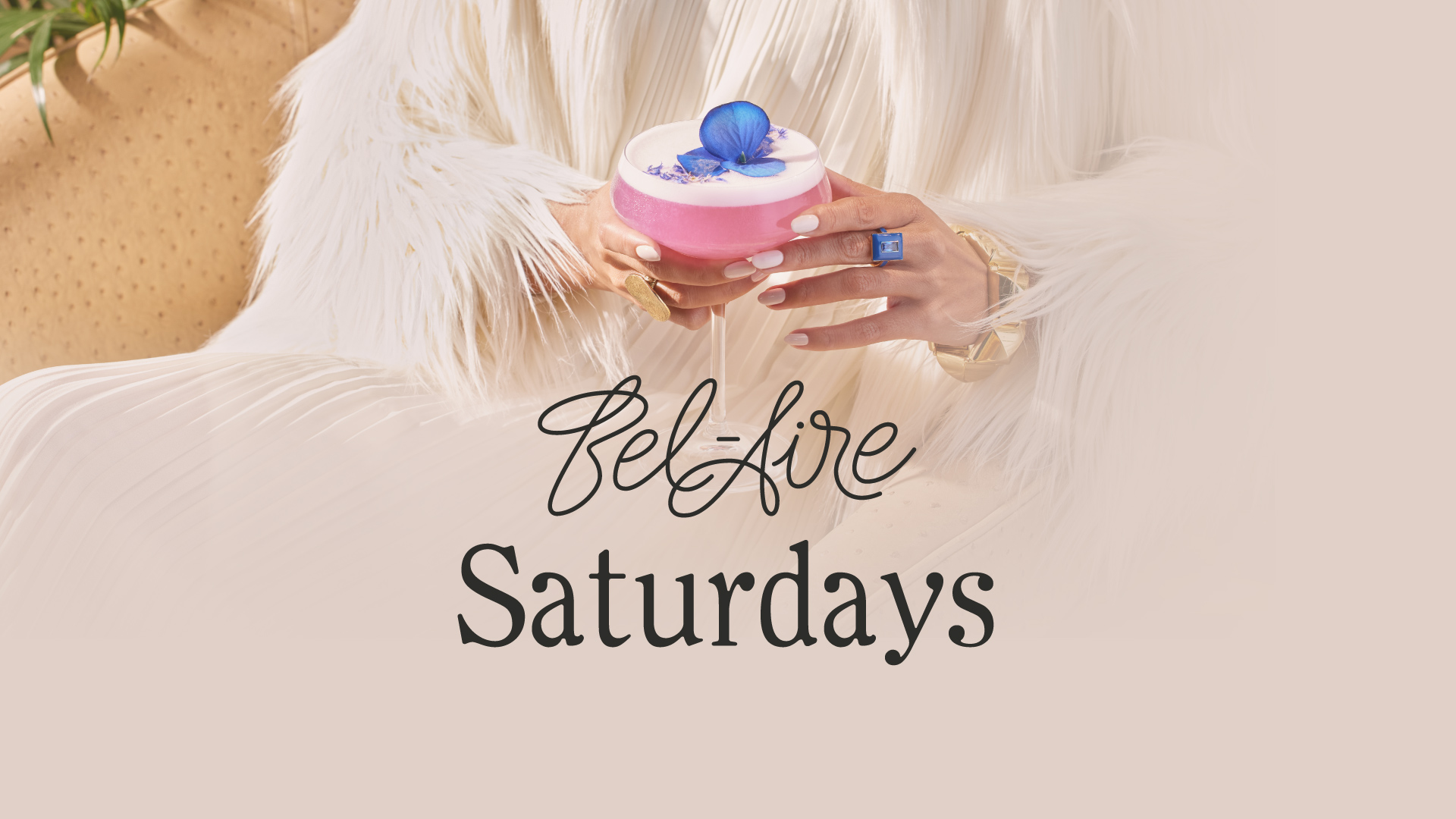 Mistletoe Mania at Bel-Aire Lounge – Capture Your Holiday Moments in ...