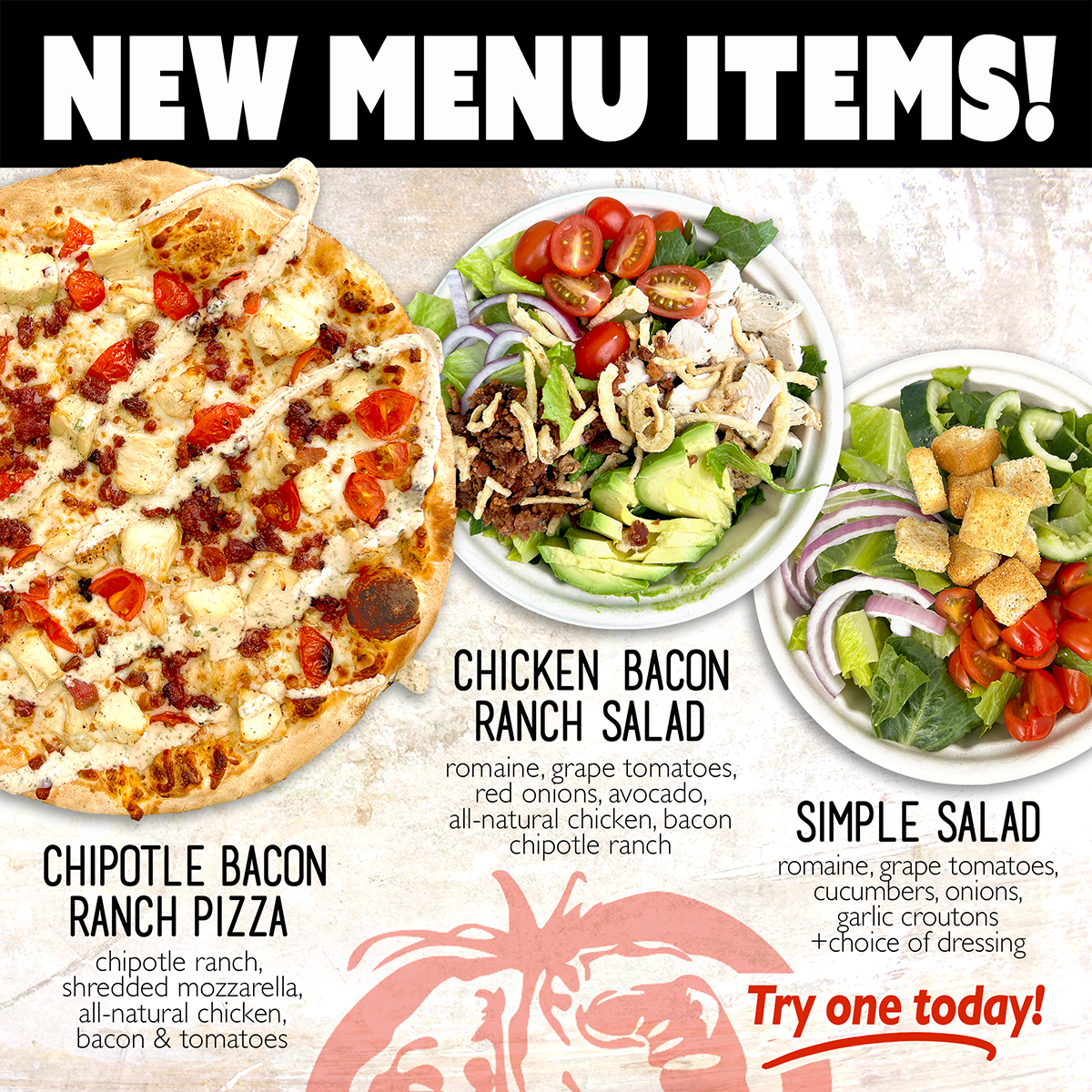 Bala Cynwyd | Hours + Location | Snap Custom Pizza