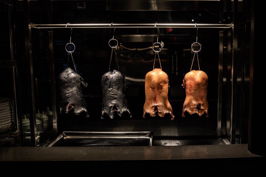 About | OCTO in New York, NY