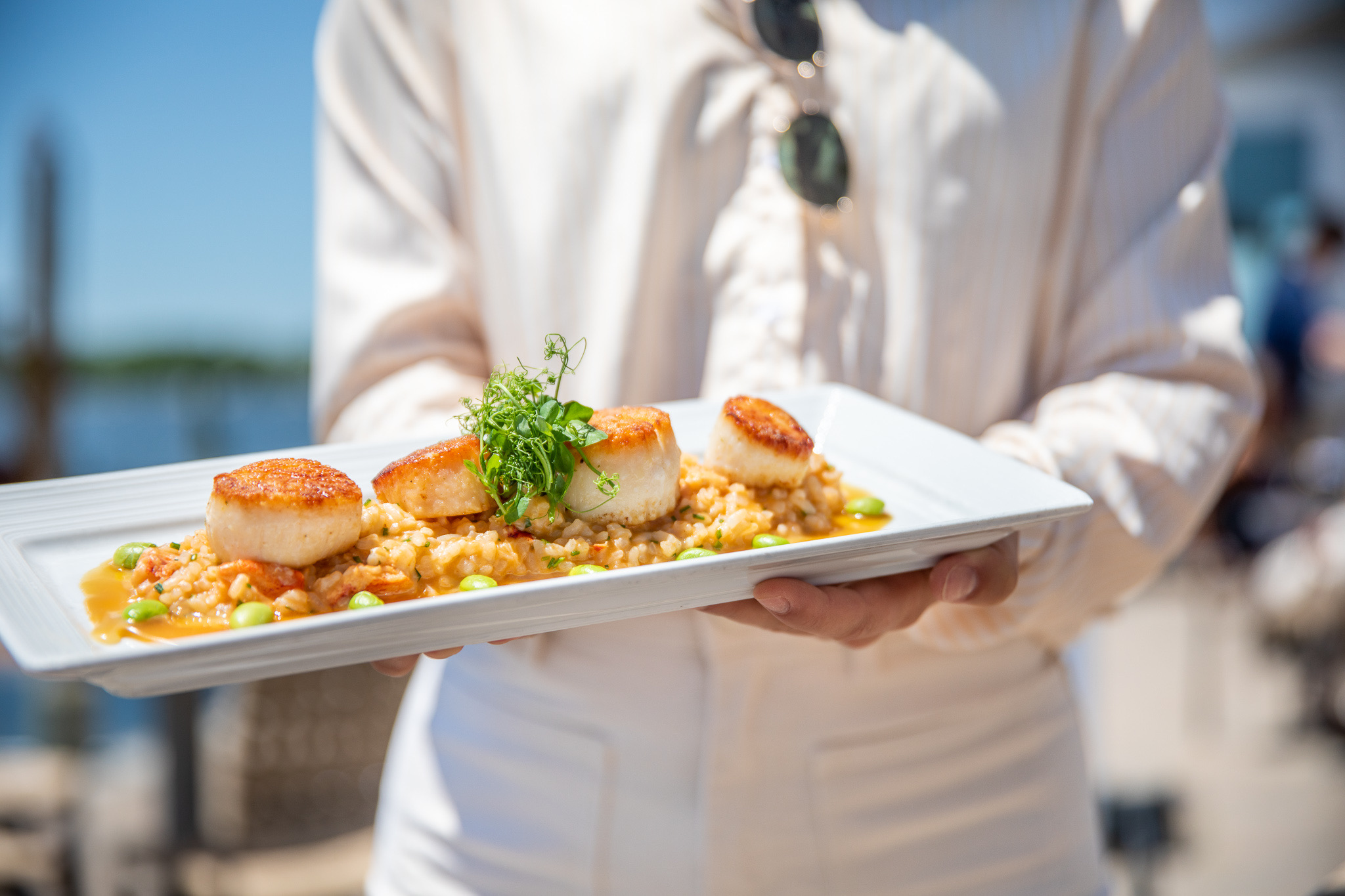 Menus | View in Oakdale, NY