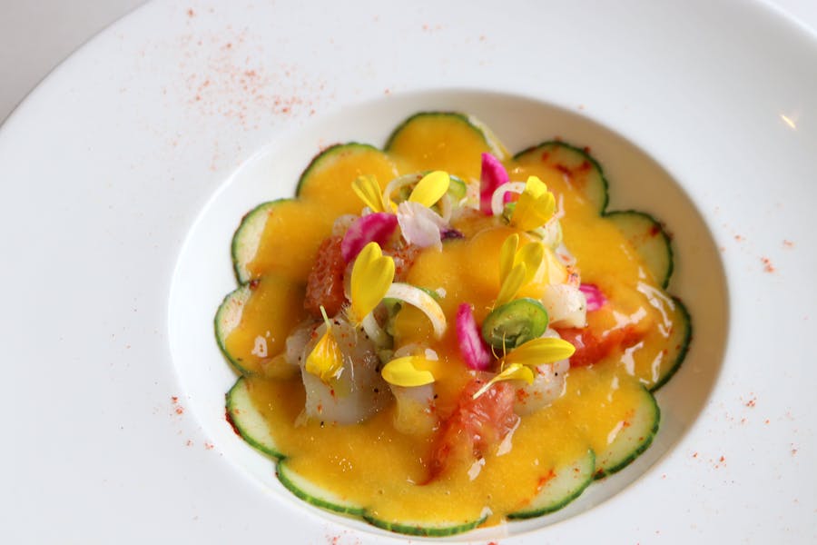 Menus | Xochi in Houston, TX