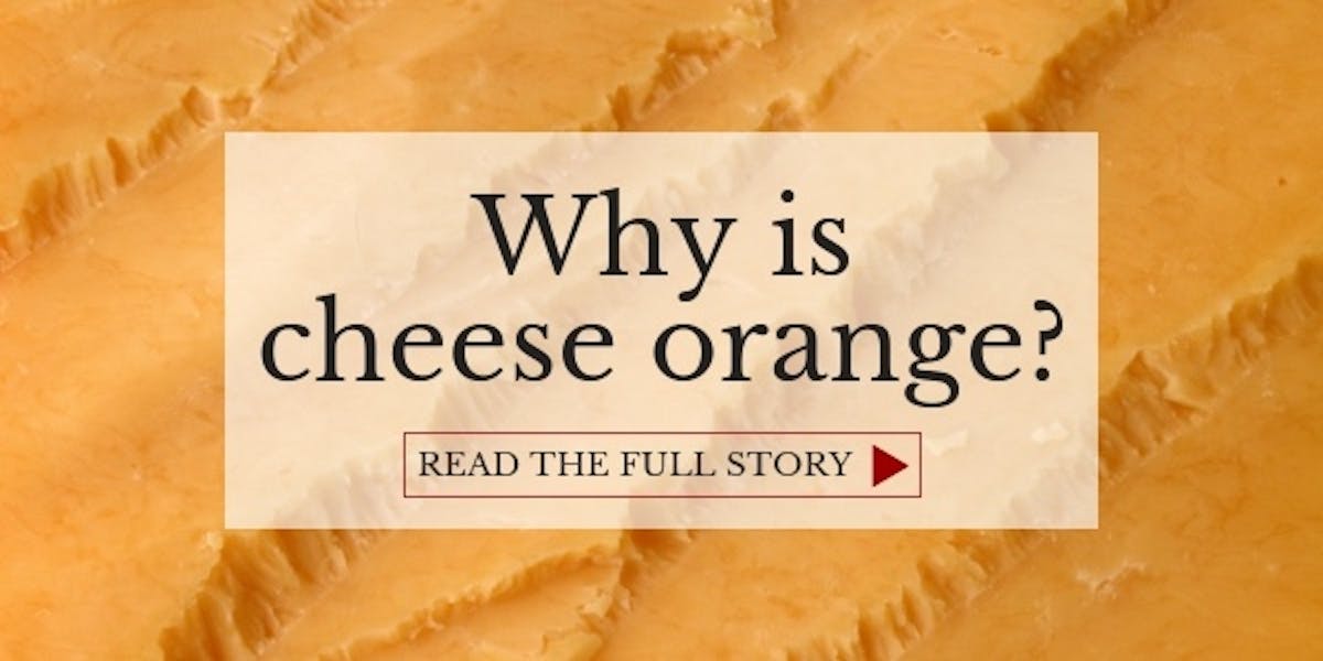 Why is Cheese Orange? | Cheesetique