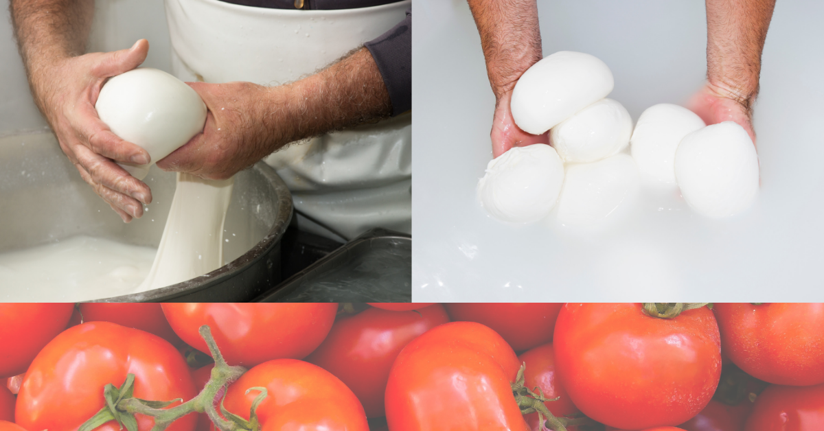 Hands On Mozzarella Making Class | Cheesetique