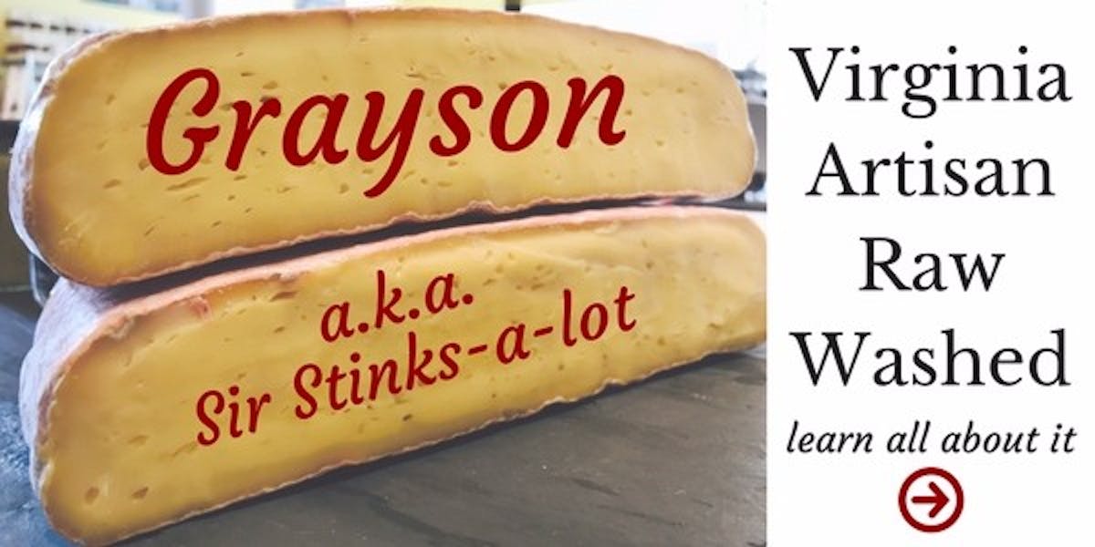 Grayson, a.k.a. Sir Stinks-a-lot | Cheesetique