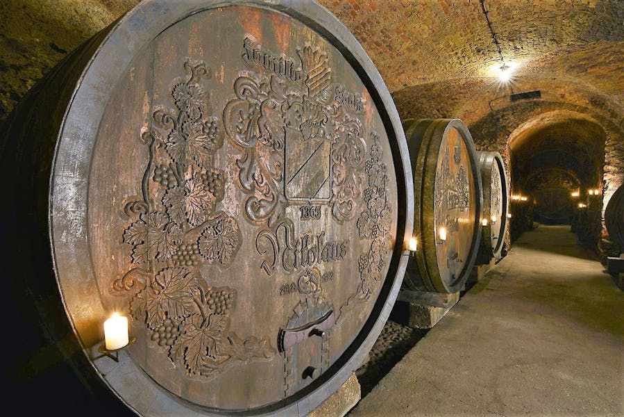 Online | Understanding Fortified Wines | Corkbuzz