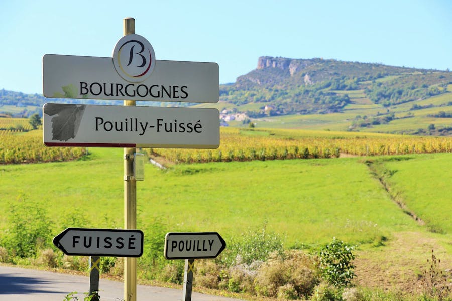 Online | Burgundy Spotlight: Mâconnais | Corkbuzz