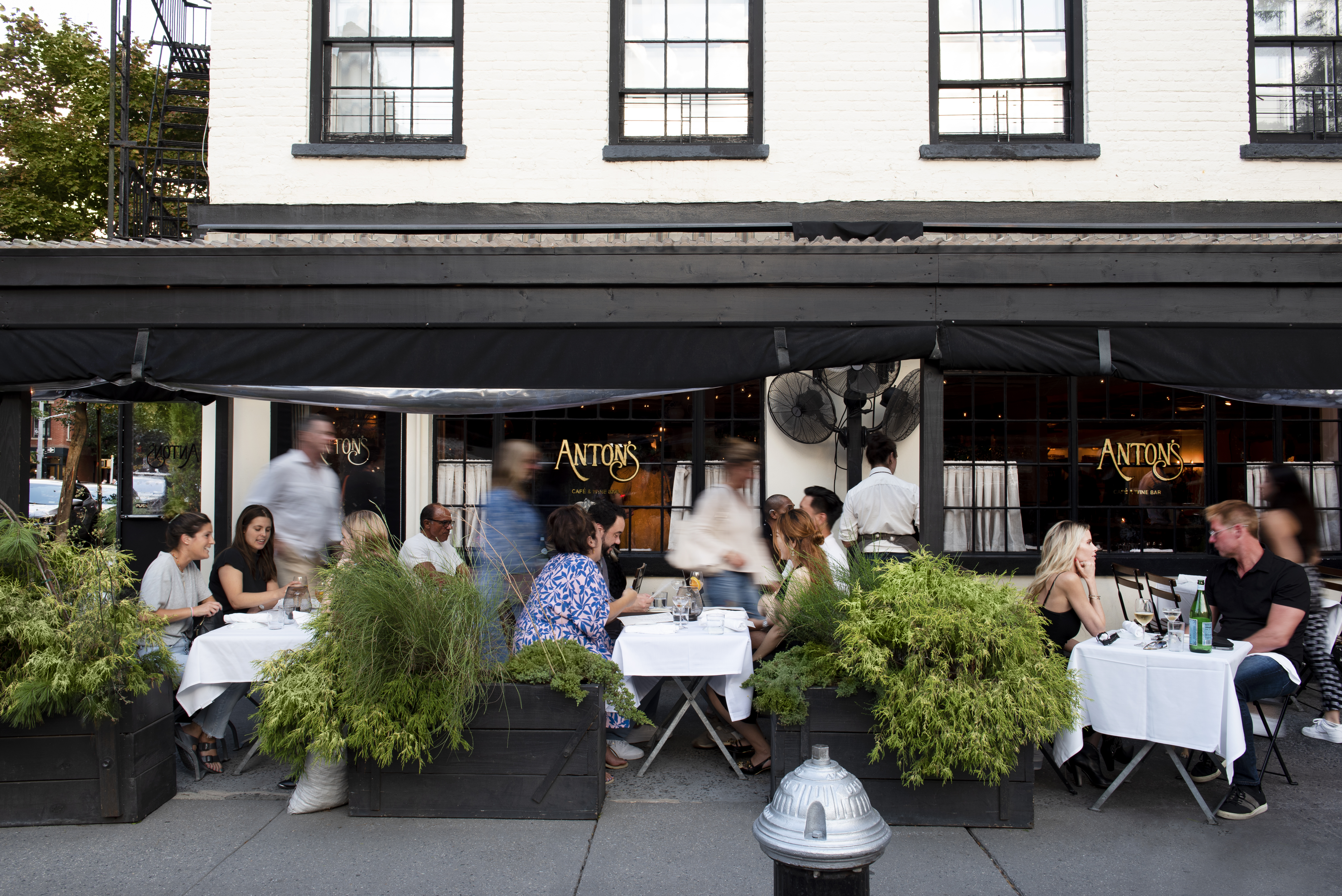 Contact | Anton's in New York, NY