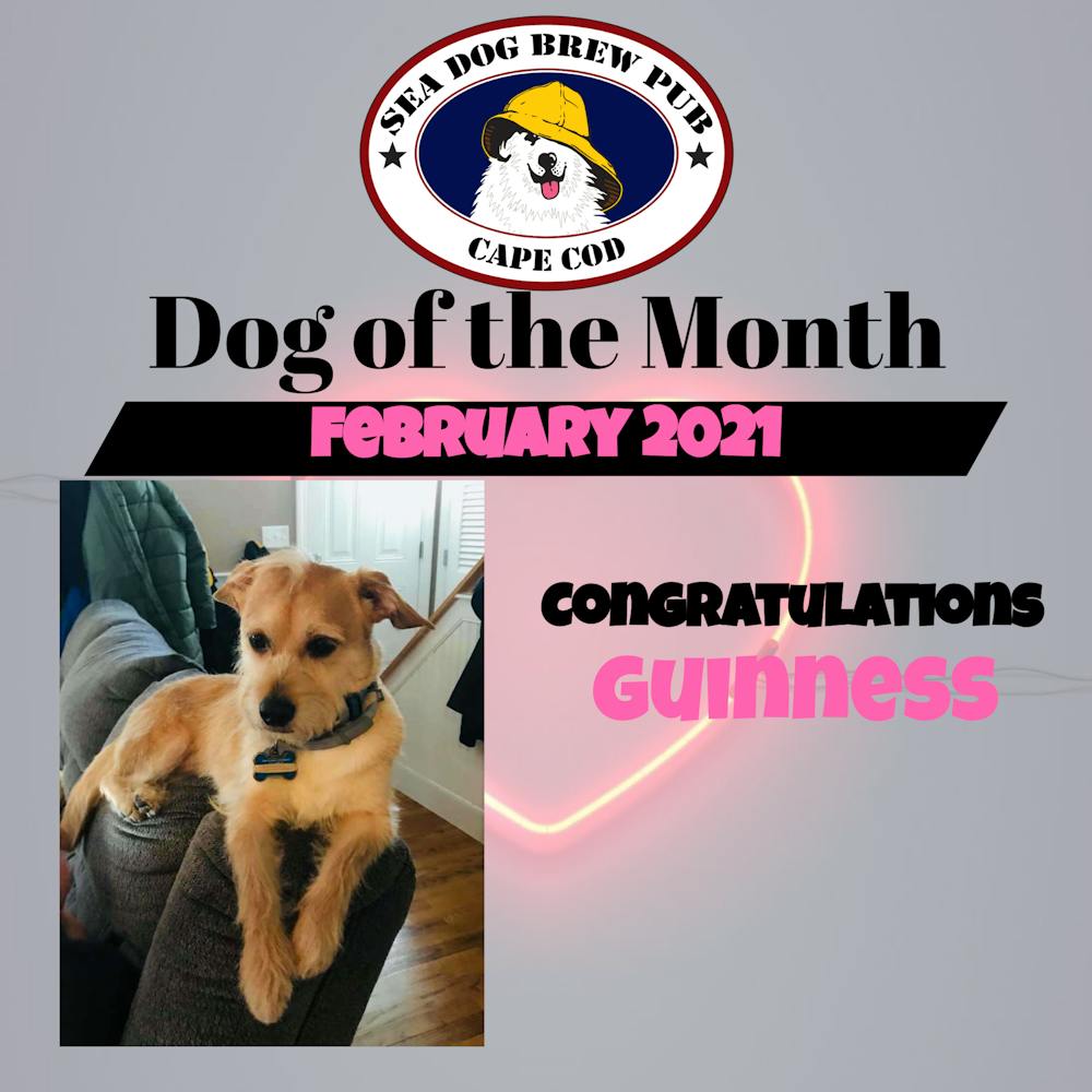 Sea Dog Brew Pub | Pub and Restaurant in South Yarmouth, MA