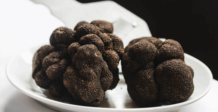Black Truffle Dinner | Osteria Mozza | Italian Restaurant in Los ...