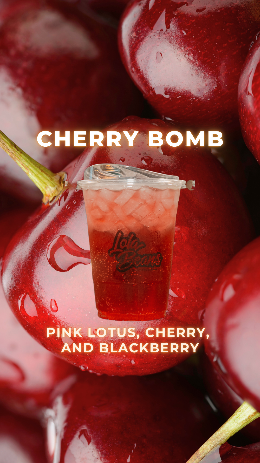 Lola Beans | Coffee Shop in TN