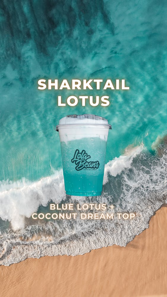 Lola Beans | Coffee Shop in TN