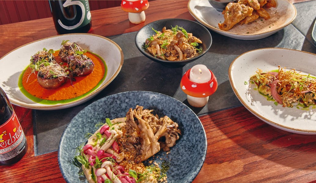 Third Kingdom | Overthrow Hospitality in NY