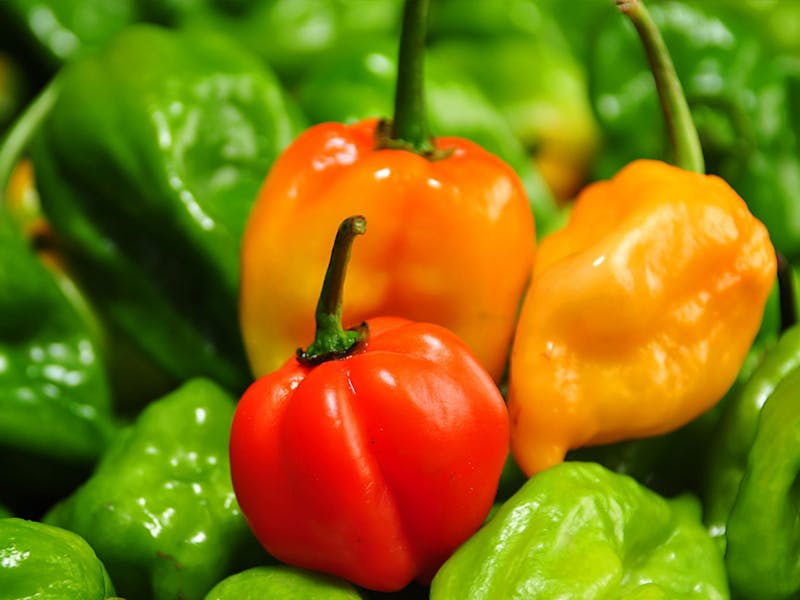 Aji Verde & Delicious Food Pairings | Pepes BBQ