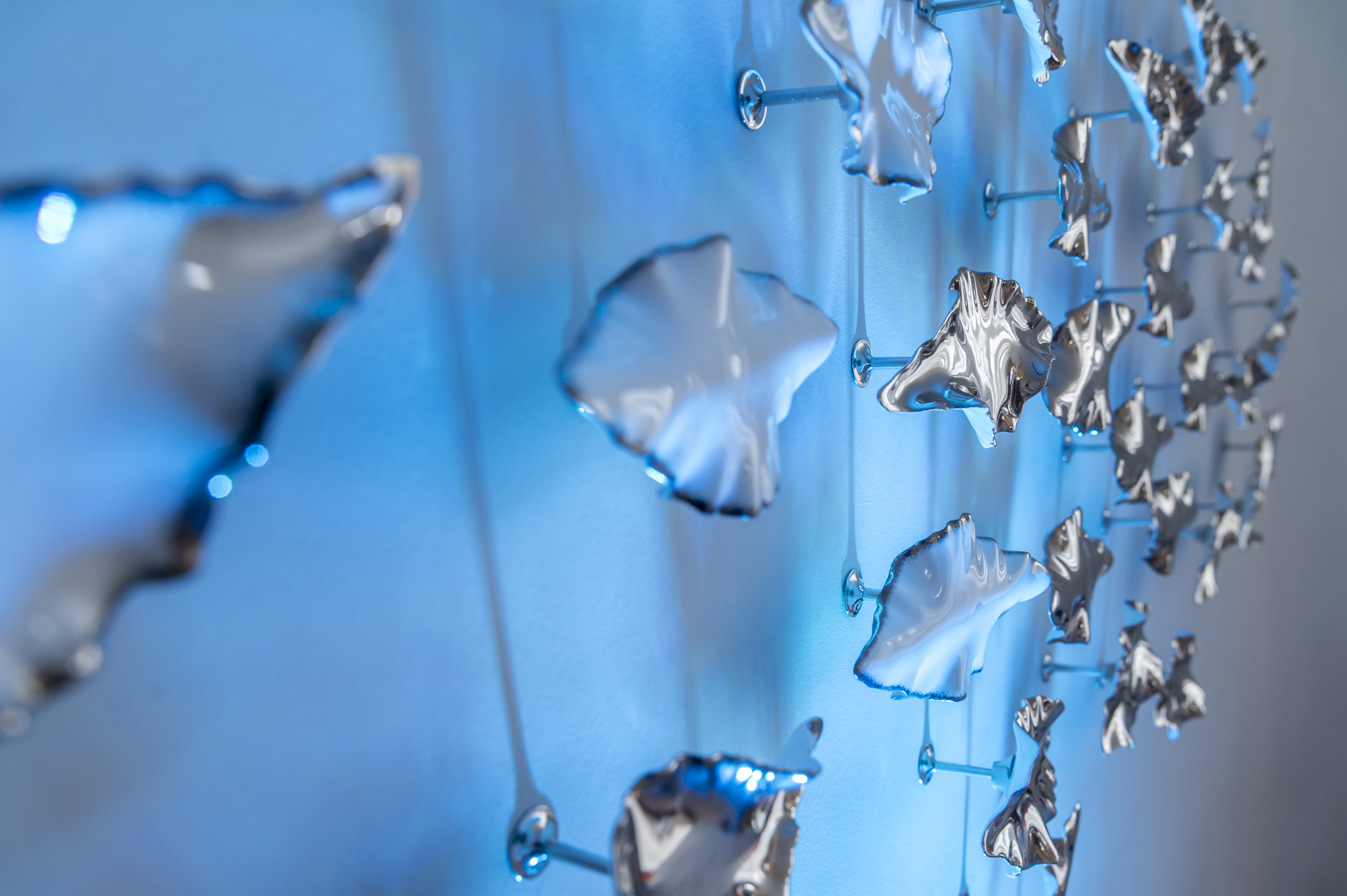 photo2 | Ondara Spa | Spa at Miami Beach, FL