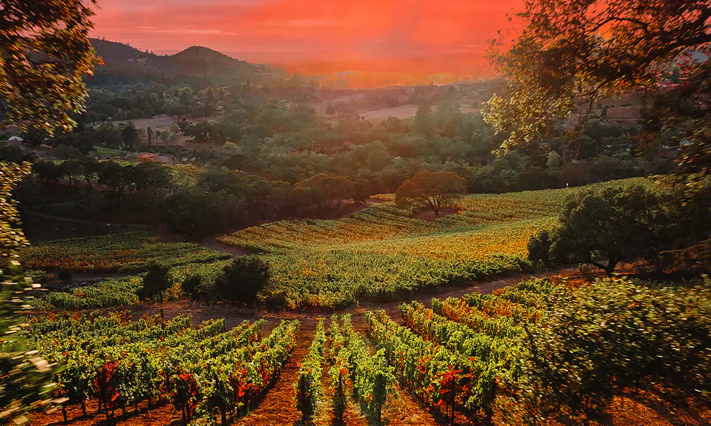 About | VinZant Wines in Sonoma Valley, California