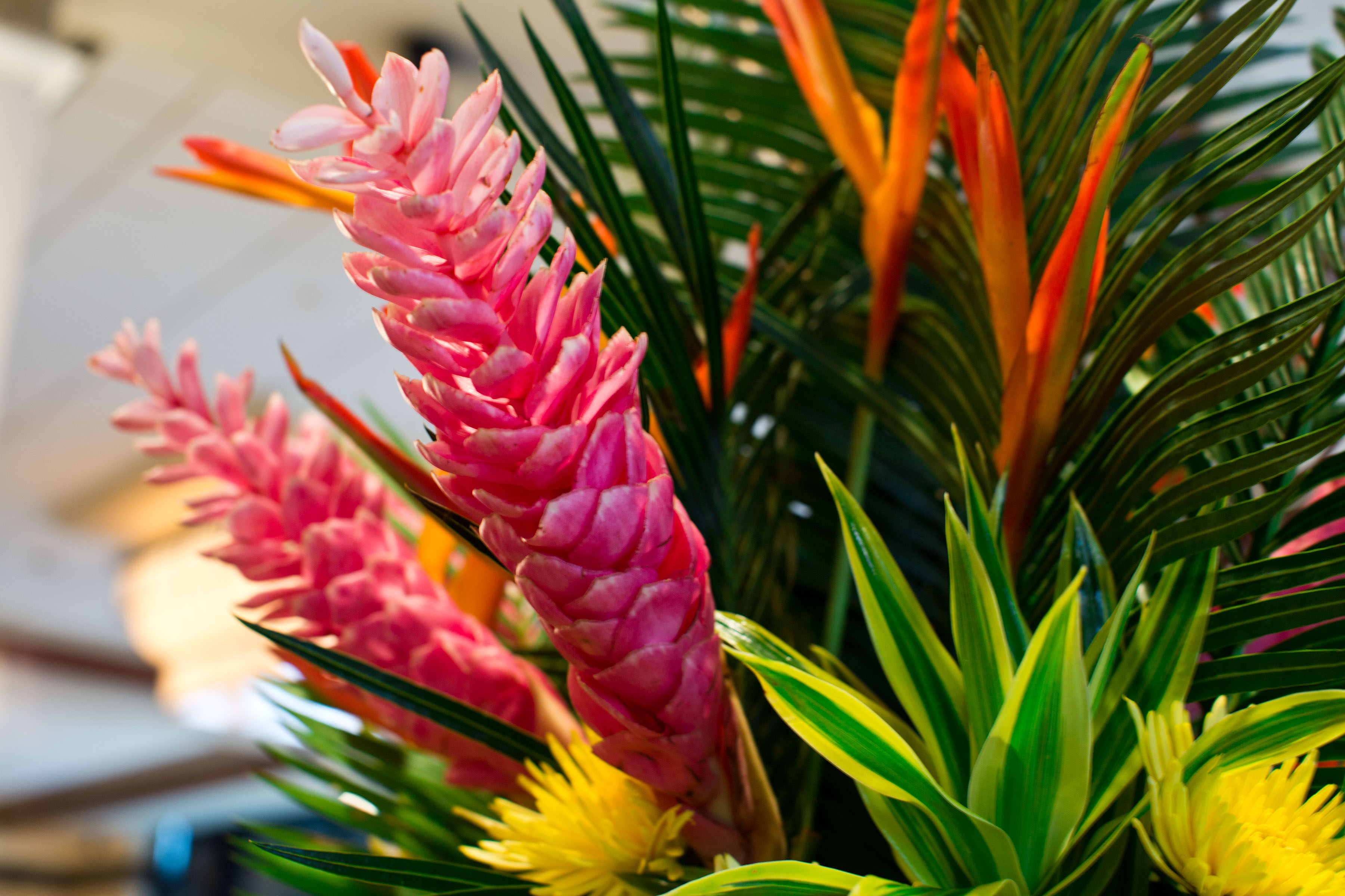 Docks Easter Brunch | Docks Oyster Bar & Seafood Grill | New York ...