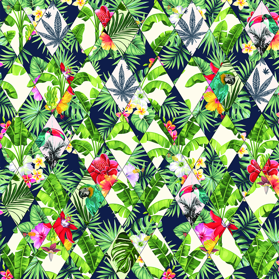 Calendar of Events | Cuya in Raleigh, NC