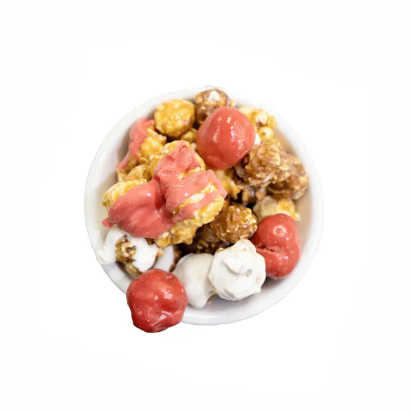 Chocolate Caramel Apple Crunch | South Bend Chocolate Company | Candy ...