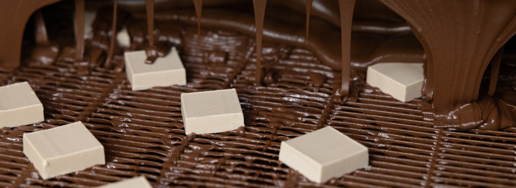 Products | South Bend Chocolate Company in IN, MI & OH