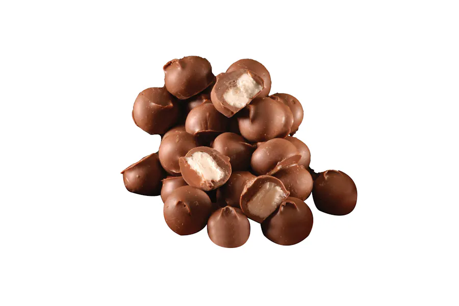 Vanilla cream | South Bend Chocolate Company | Candy Store in IN, MI & OH