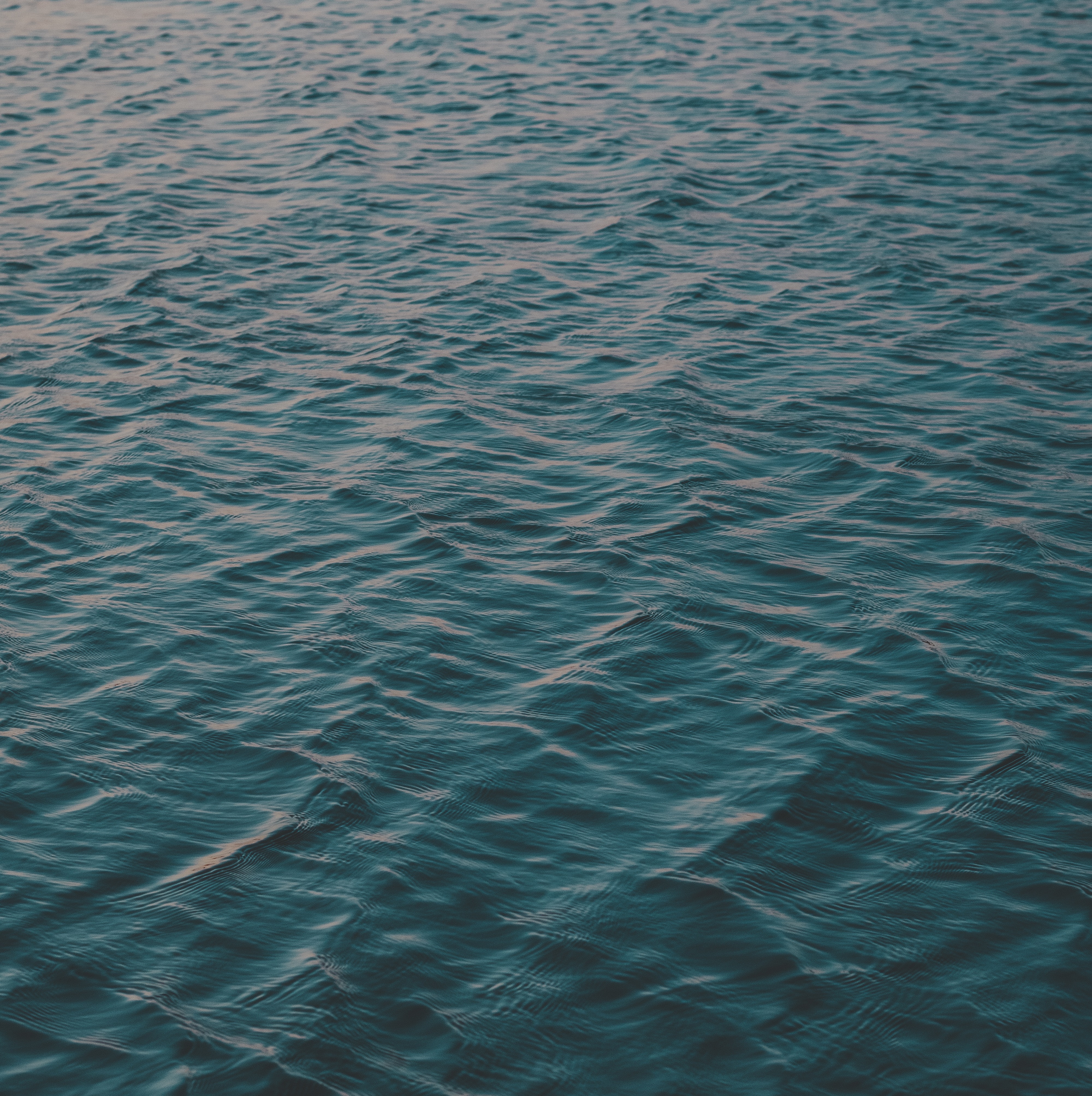 The Shorely | Marina Village in Fort Lauderdale, FL