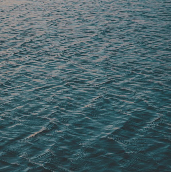 The Shorely | Marina Village in Fort Lauderdale, FL