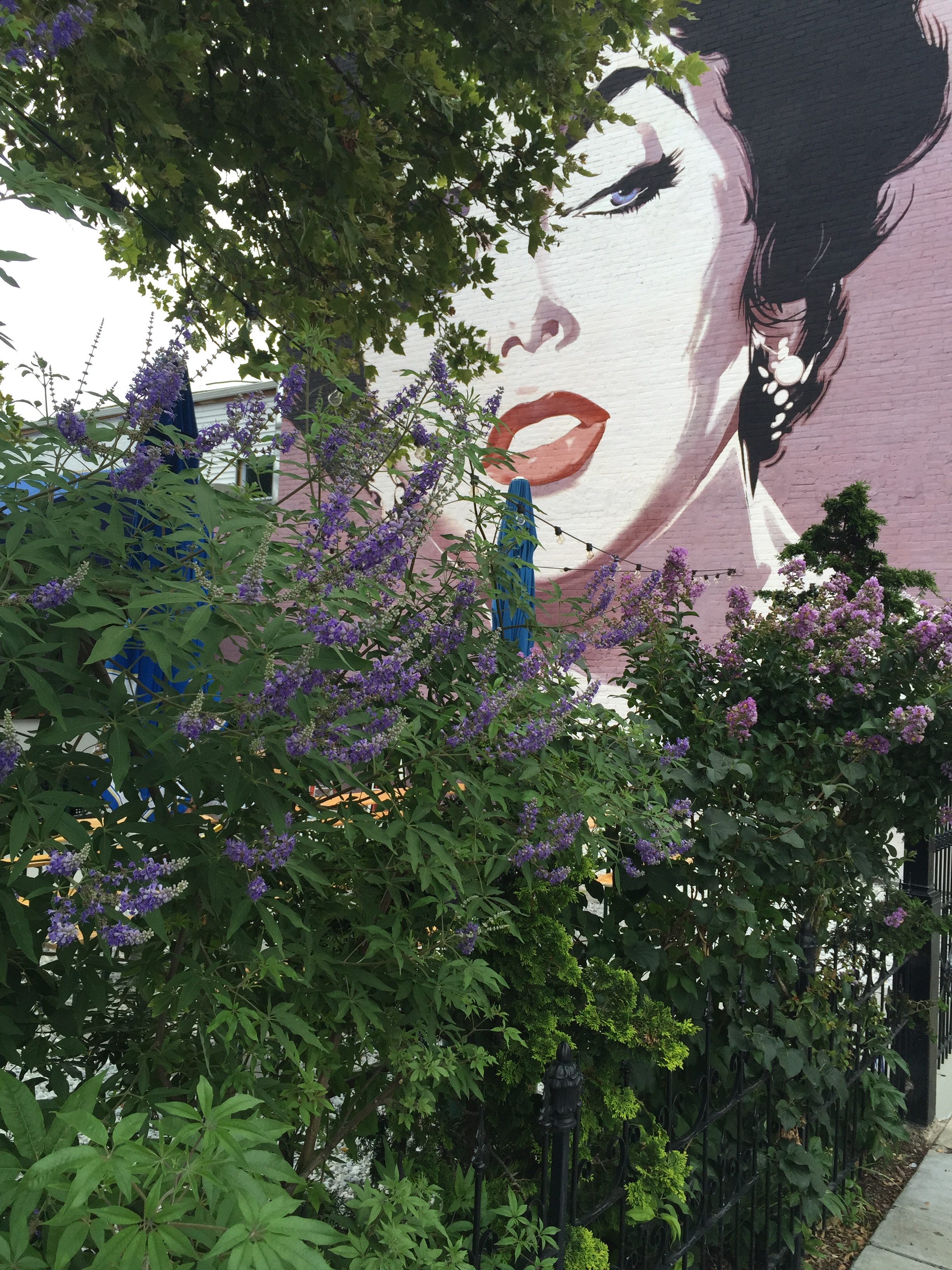 Dacha Beer Garden | Shaw, Washington, DC