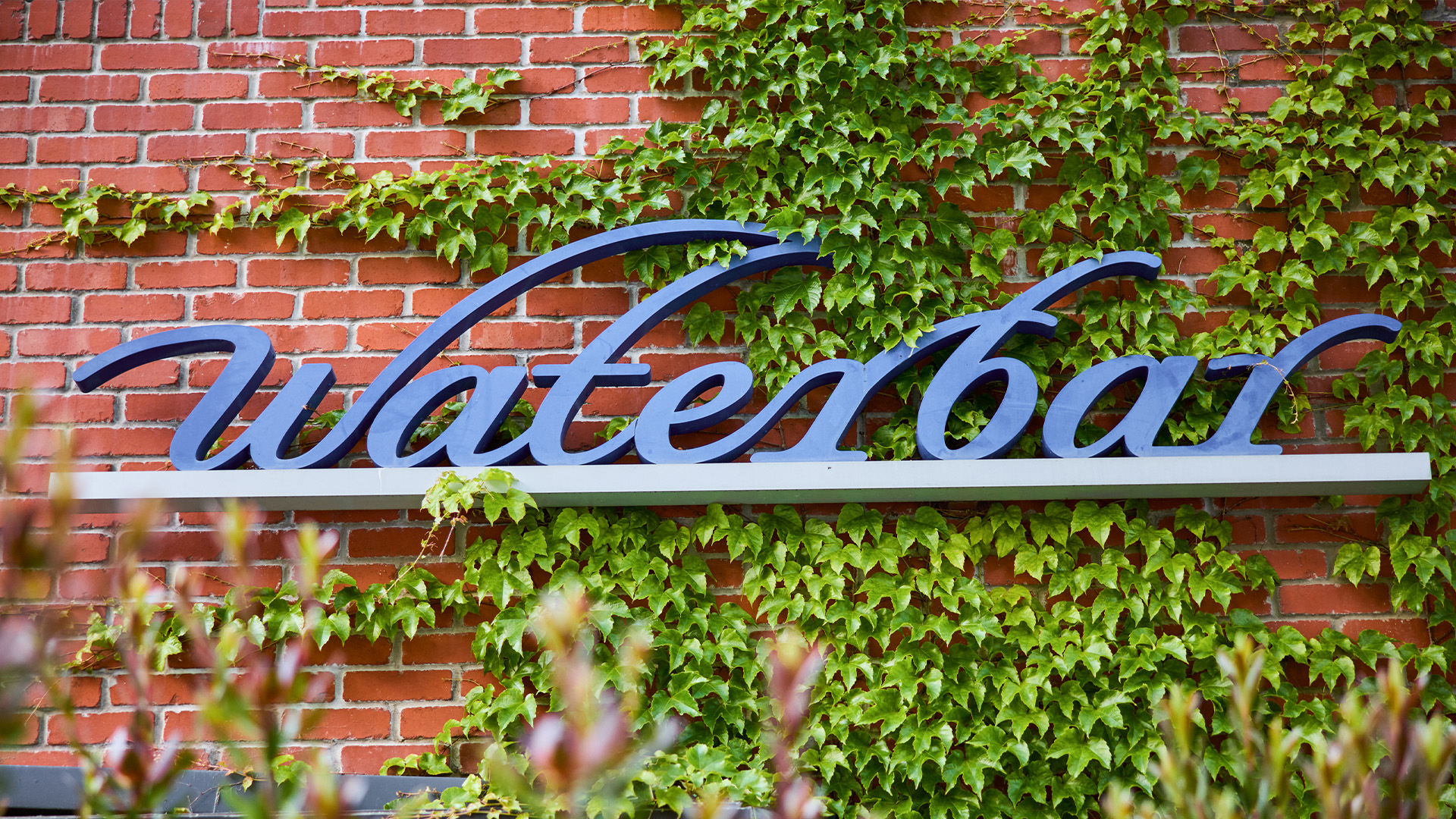 About Waterbar SF: Fresh Seafood, Exceptional Service, Waterfront Views.