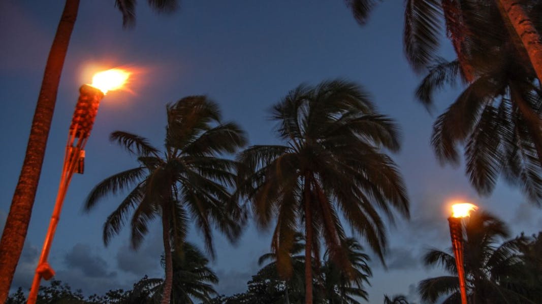 About | Bar Kapu in Bentonville, AR