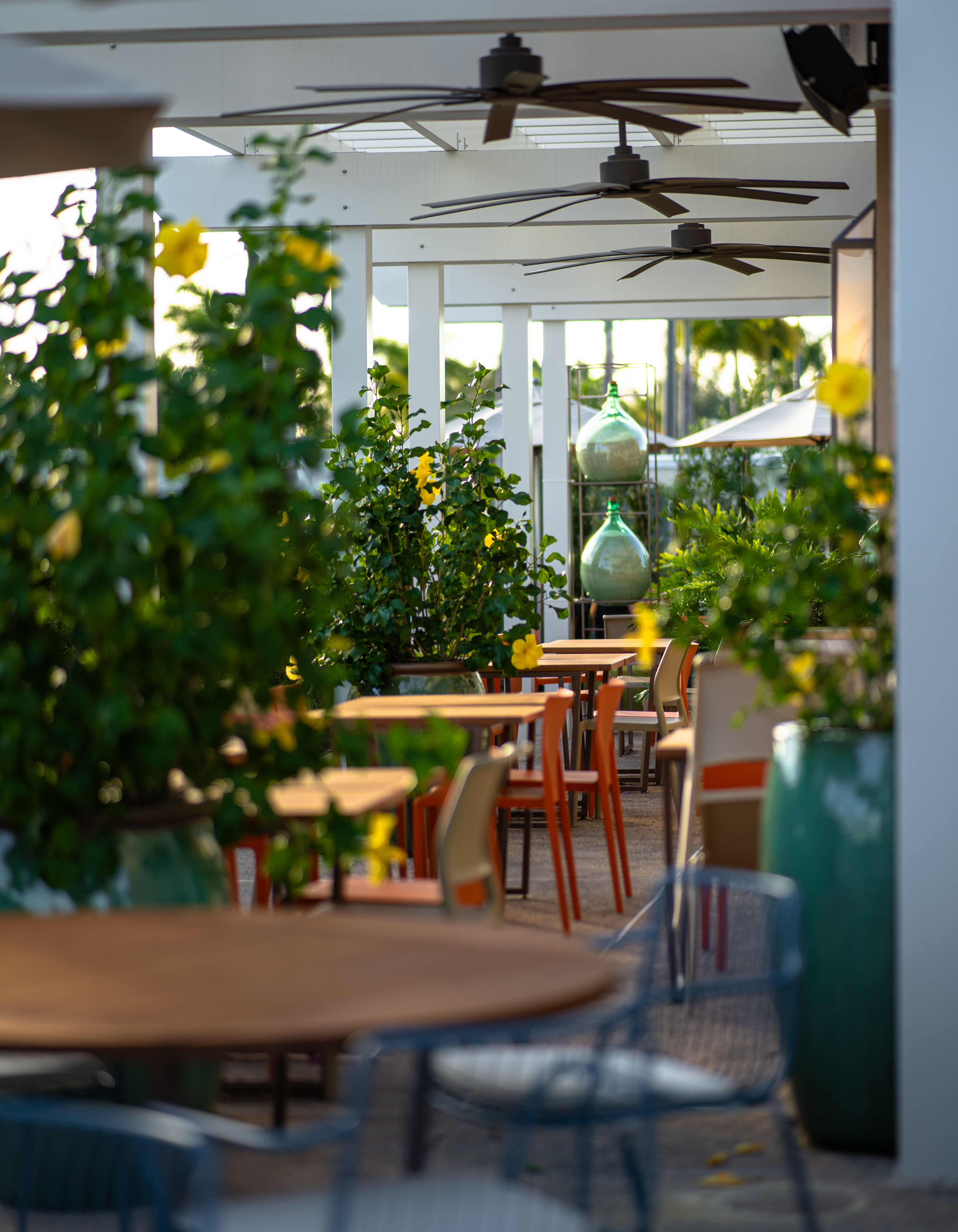 About | Simply Capri in Winter Garden, FL
