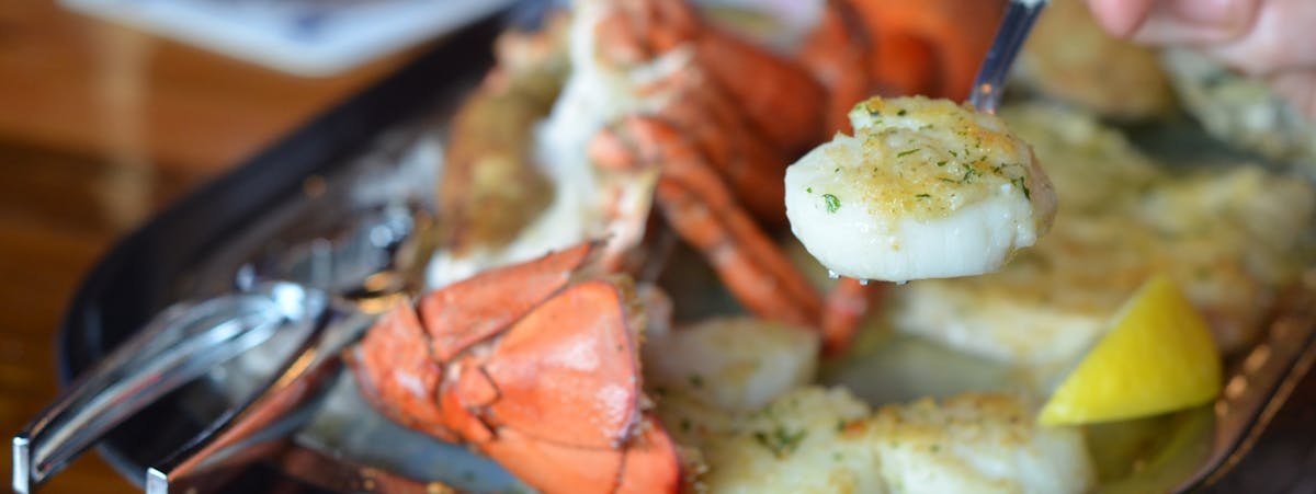 Press | The Whale's Rib