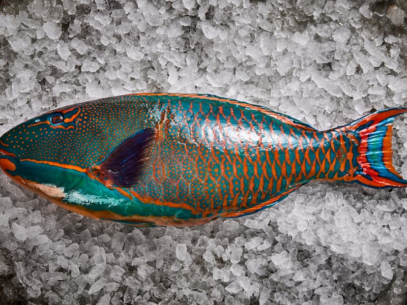 Menus | Wakuda in Singapore