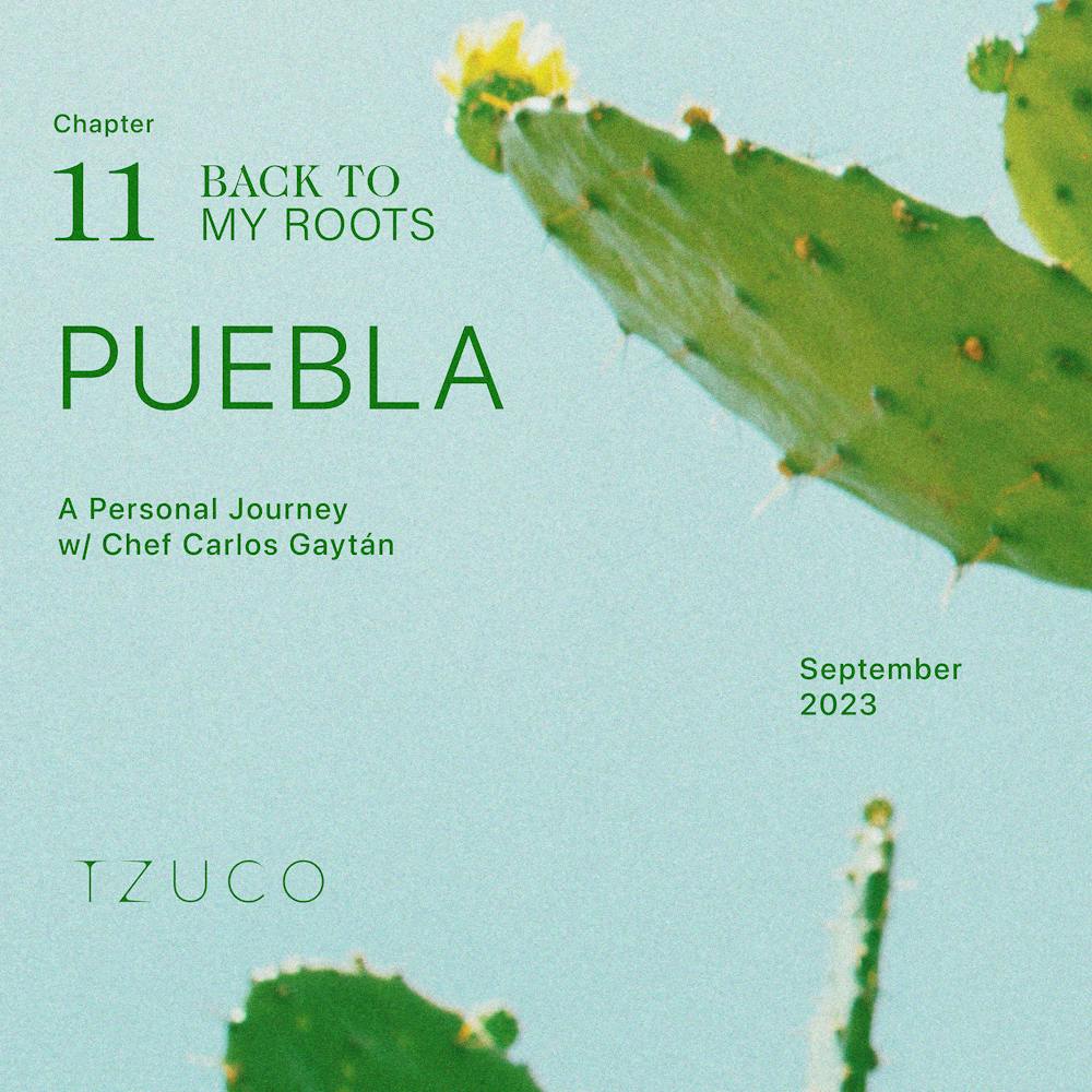 TZUCO | Mexican restaurant in River North, Chicago