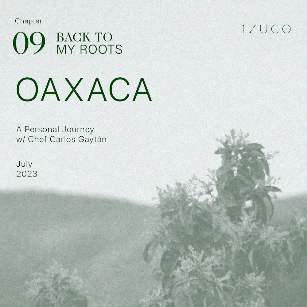 BACK to MY ROOTS | Tzuco | River North, Chicago | French Mexican ...