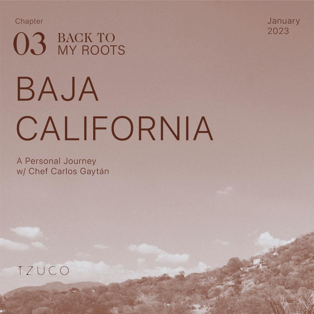 Back to My Roots | Tzuco | River North, Chicago | French Mexican ...