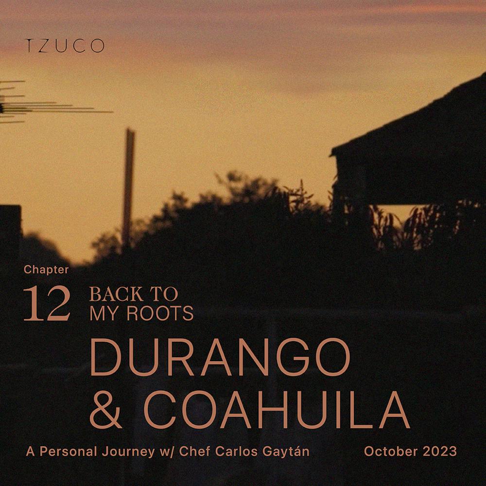 BACK to MY ROOTS | Tzuco | River North, Chicago | French Mexican ...