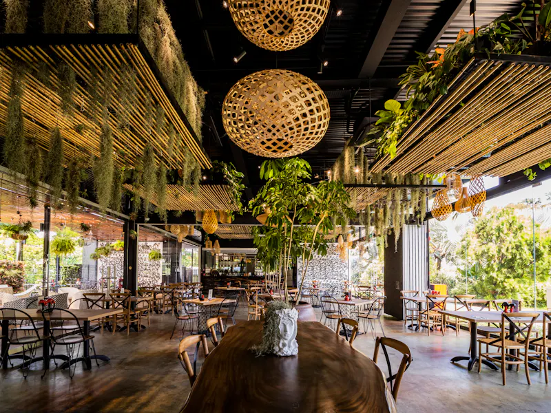 Canopy HortPark | Hours + Location | DITP Group | Multi-Concept ...