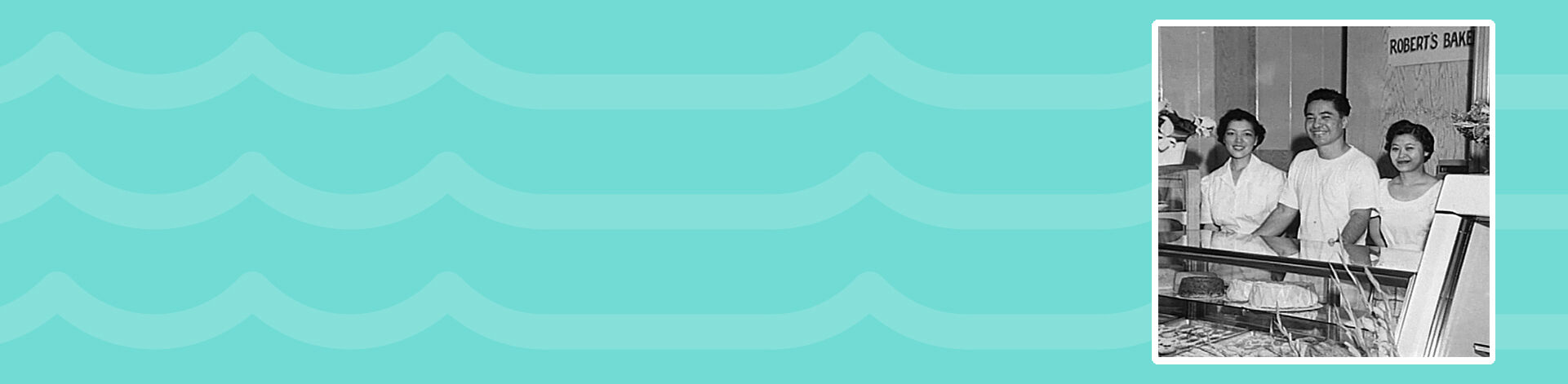 About | Hello Hilo in Gainesville, GA