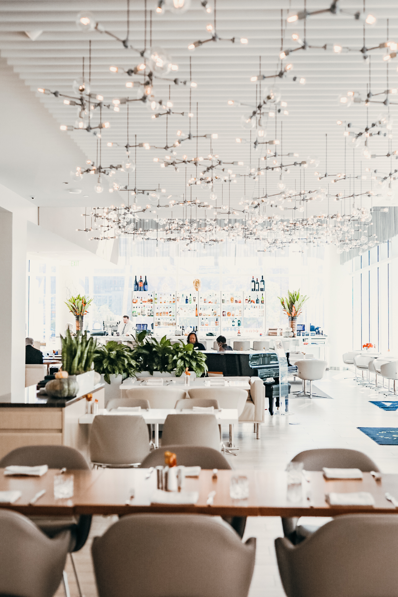 Photo Gallery | Ellie's Restaurant Dallas Arts District, TX